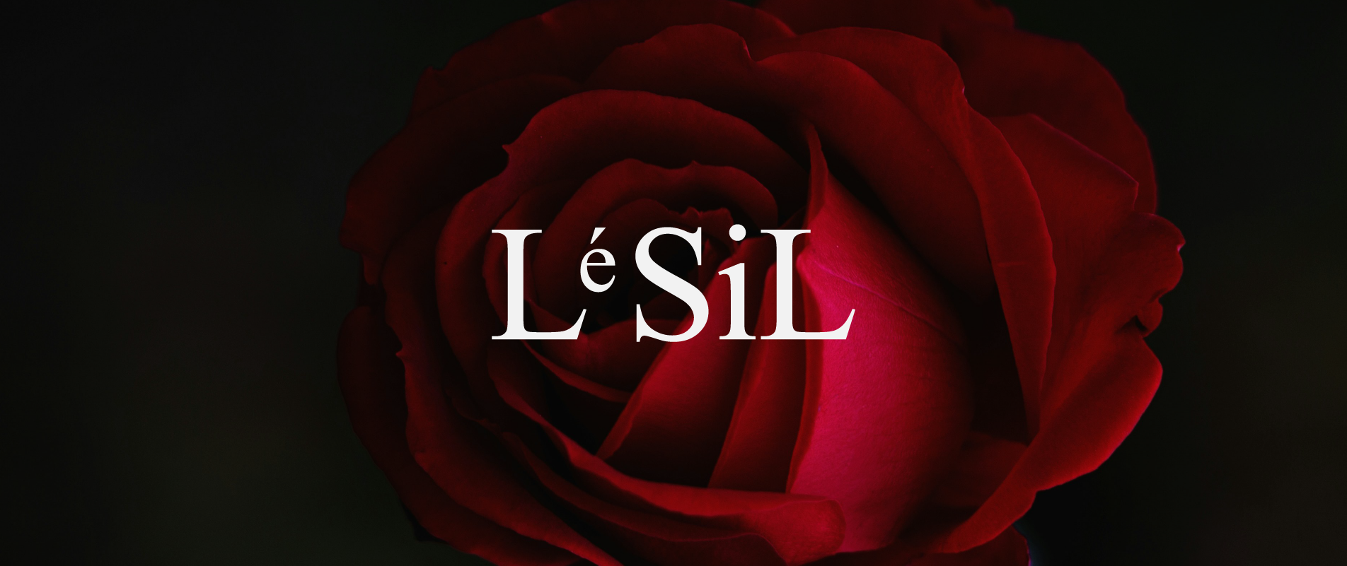 Rose Bears – LéSiL HK